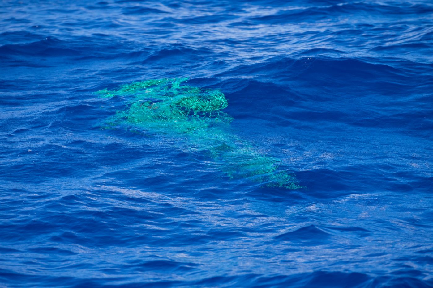 Press release: Study demonstrates how microplastic particles differ ...
